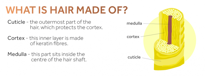 How can Absolute Collagen protect your hair from colour processes? – UK ...